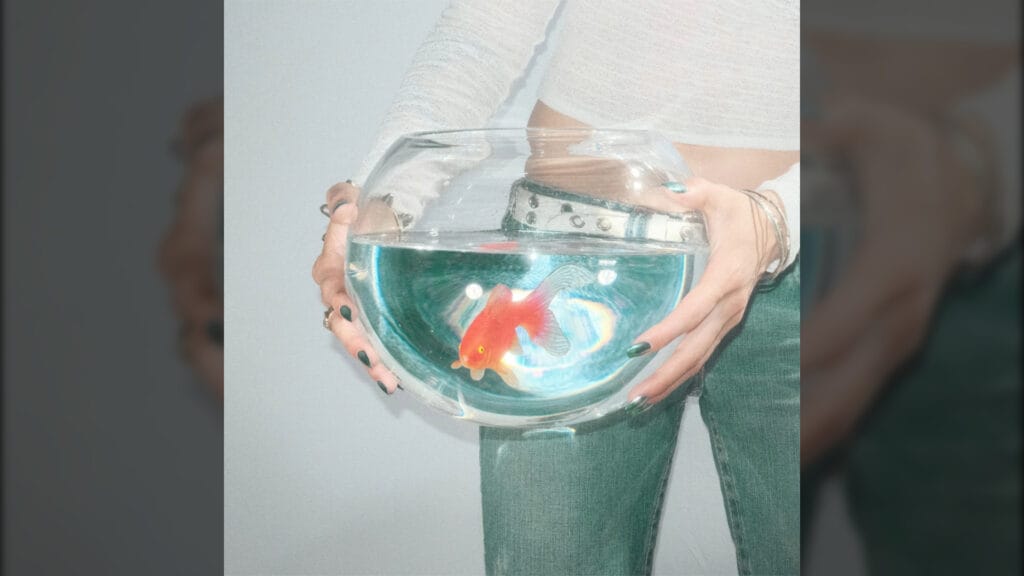 Disconecta | Música é o que nos move!